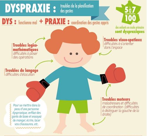 Zoom sur la dyspraxie